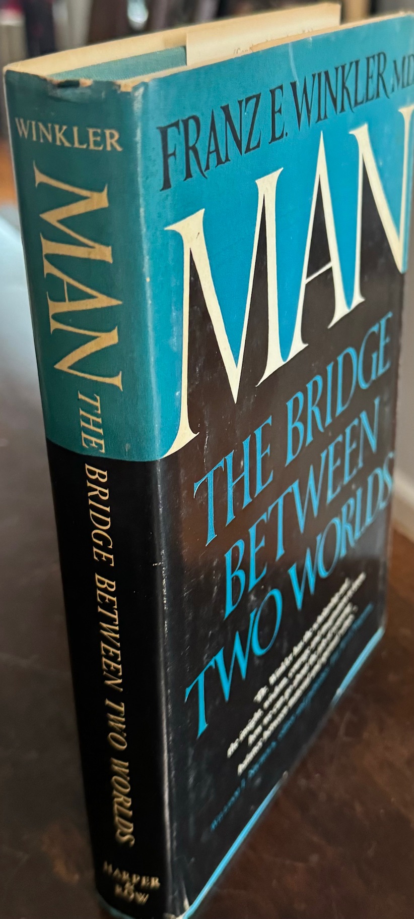 Man: The Bridge Between Two Worlds